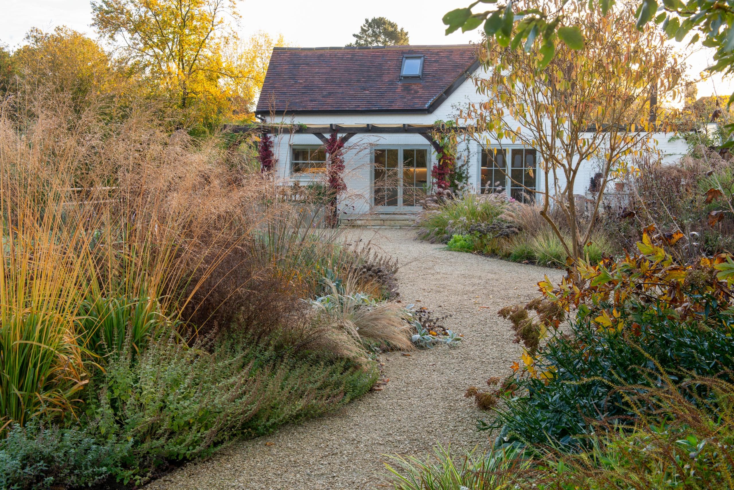 Outwood Common Garden Design | We Love Plants